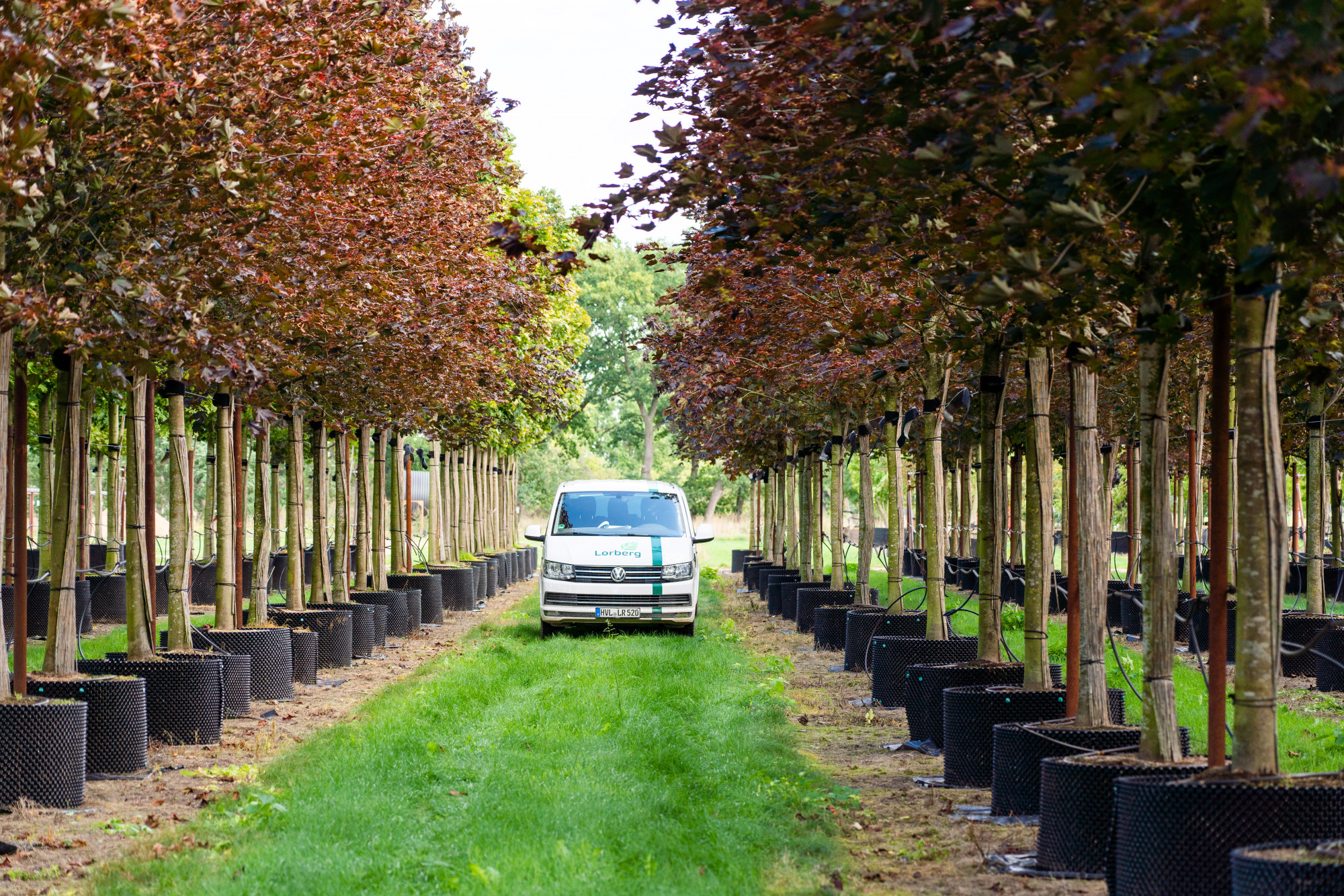 Büroausflug zur Baumschule Lorberg | May