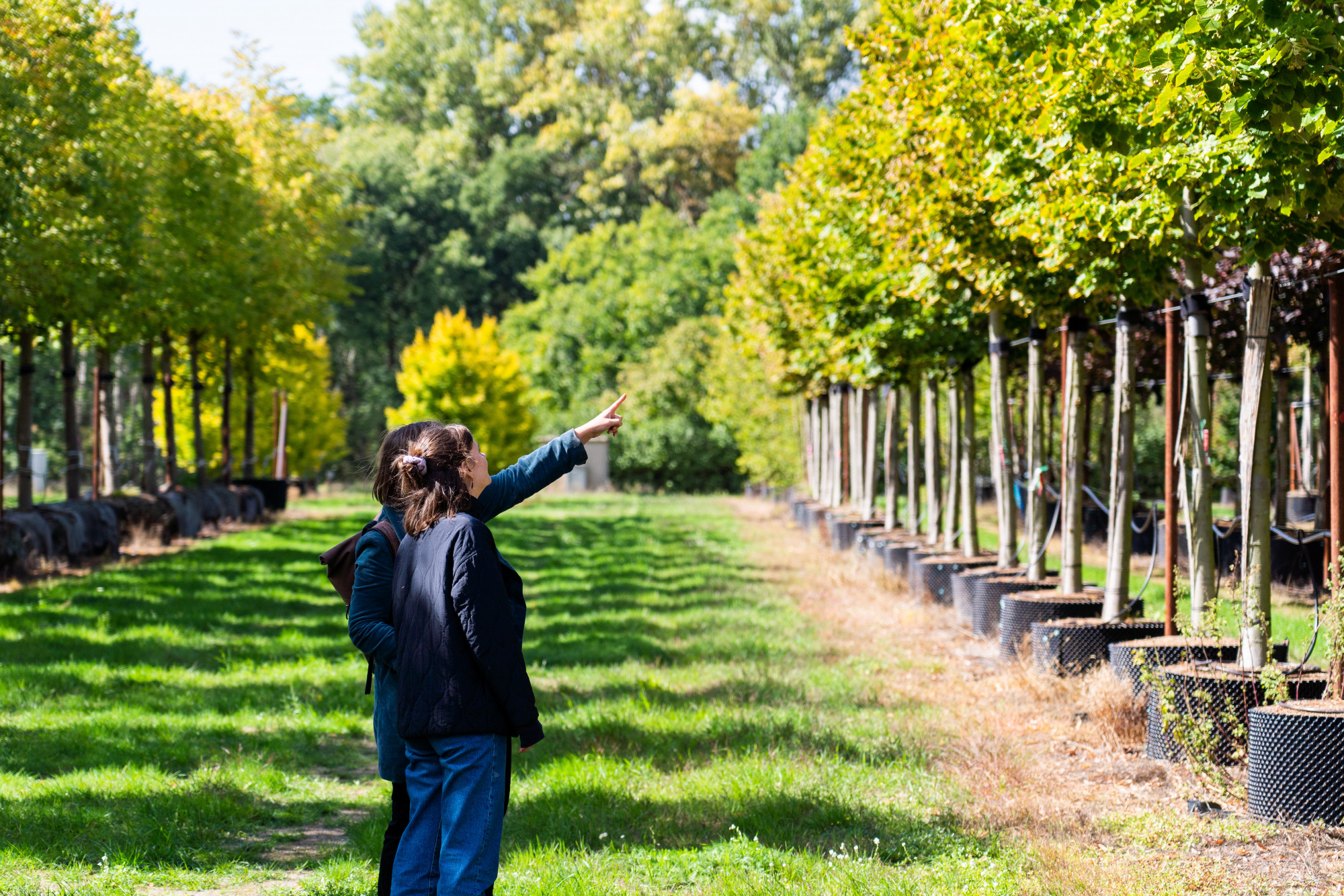 Büroausflug zur Baumschule Lorberg | May